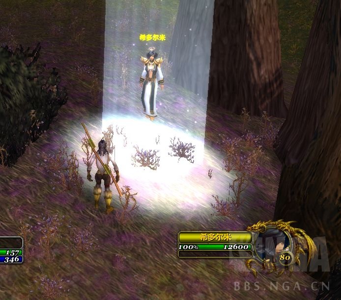 [不懂就问] 我没记错，这个是正式服的NPC吧？ NGA玩家社区