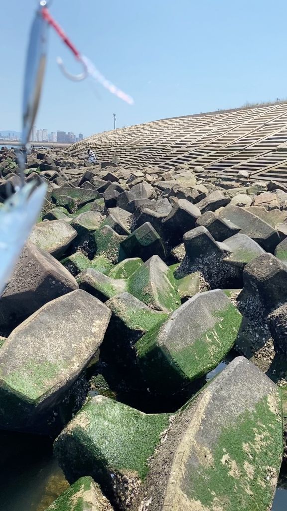 极氪mix，真正意义上的钓鱼车。其他车只是噱头，这车是解决钓鱼佬痛点了 NGA玩家社区