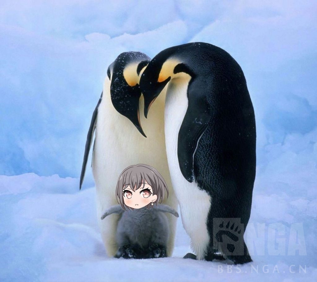 [mygo]这是官方漫画？ NGA玩家社区