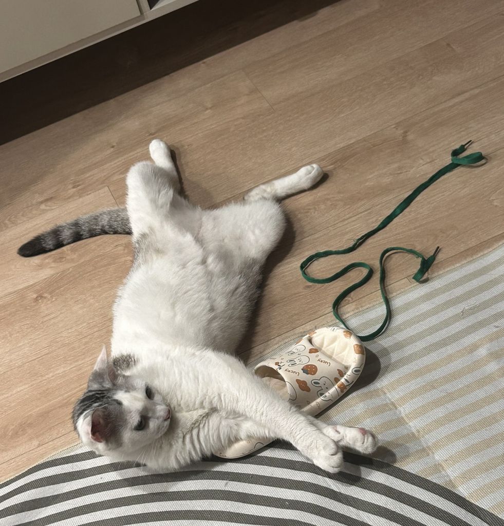 12s开荒招募h1(找到啦！) NGA玩家社区