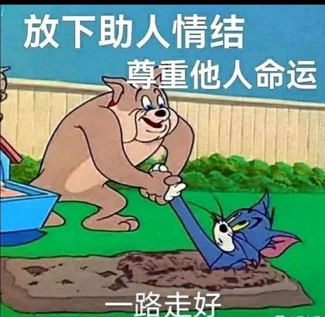 [集中讨论，单开锁隐]崩铁要联动fsn了 NGA玩家社区