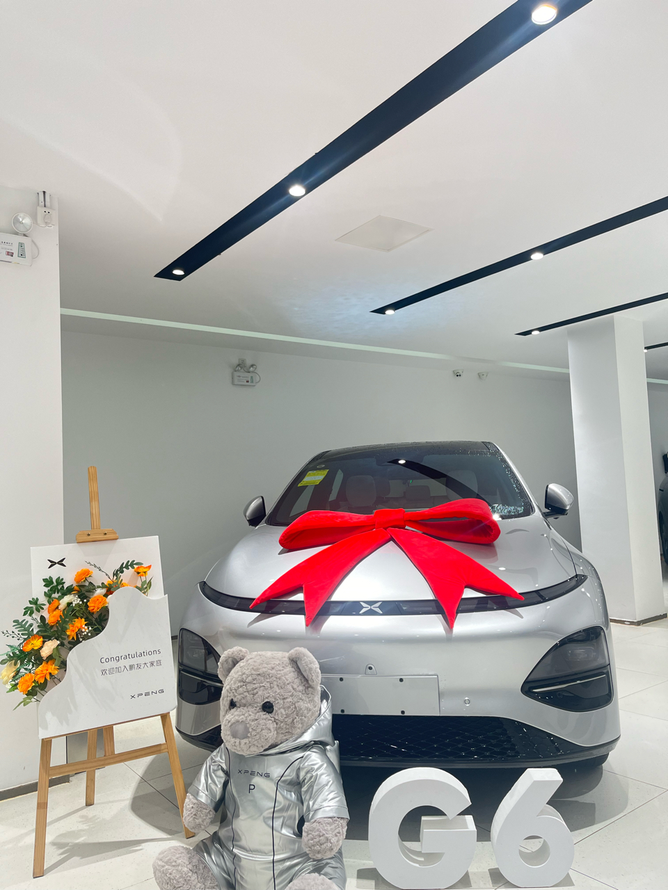 [车版专栏-提车作业] 小鹏g6 580plus提车作业，防一血 NGA玩家社区