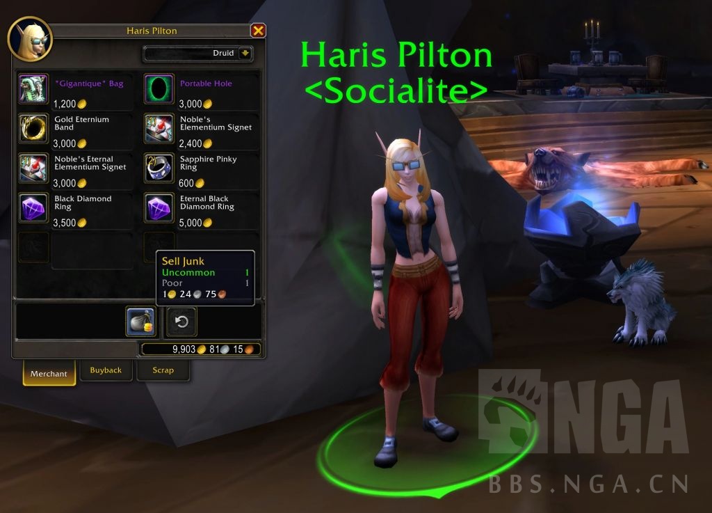 [界面分享] [WLK] Curse单体插件整合，原汁原味的界面分享 NGA玩家社区