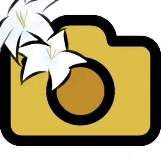 [游戏杂谈]b站两天掉了快4w粉 NGA玩家社区