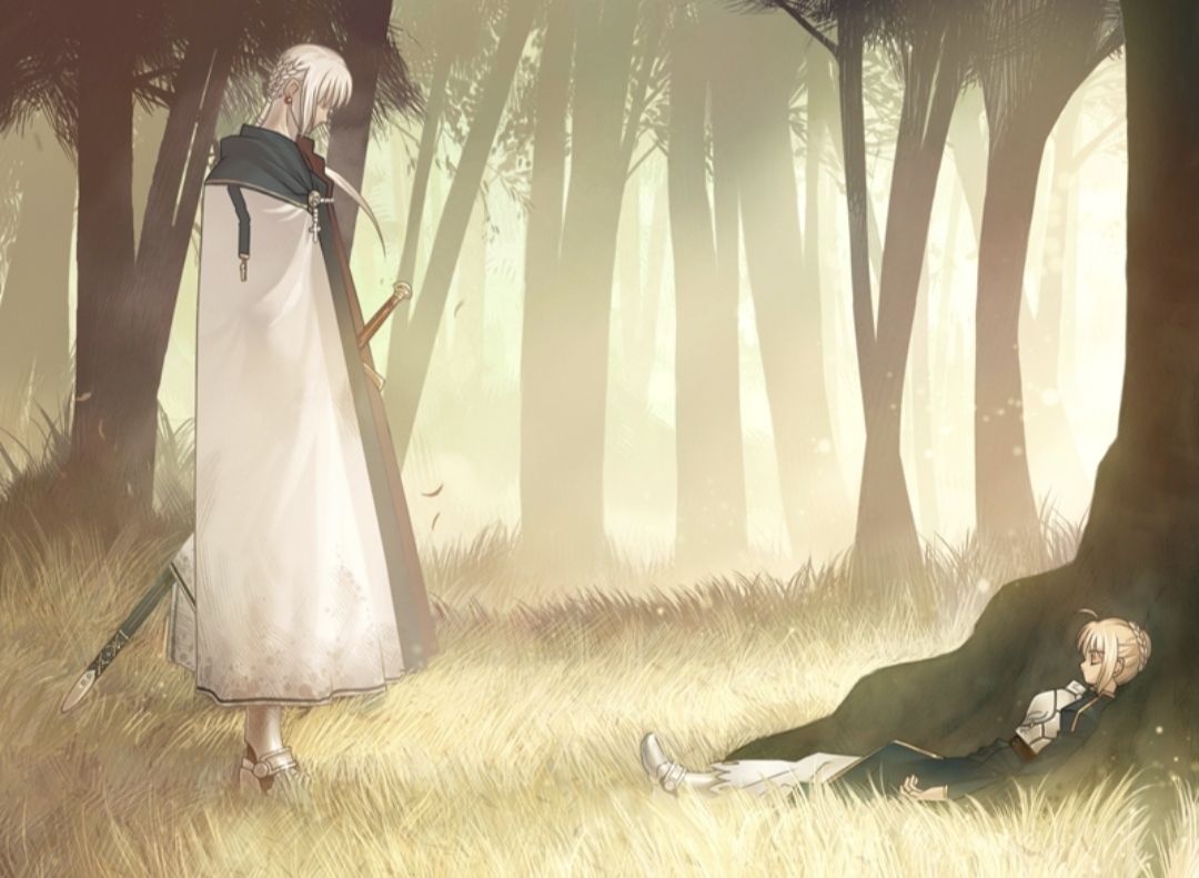 刚刚通过fsn的fate线 178