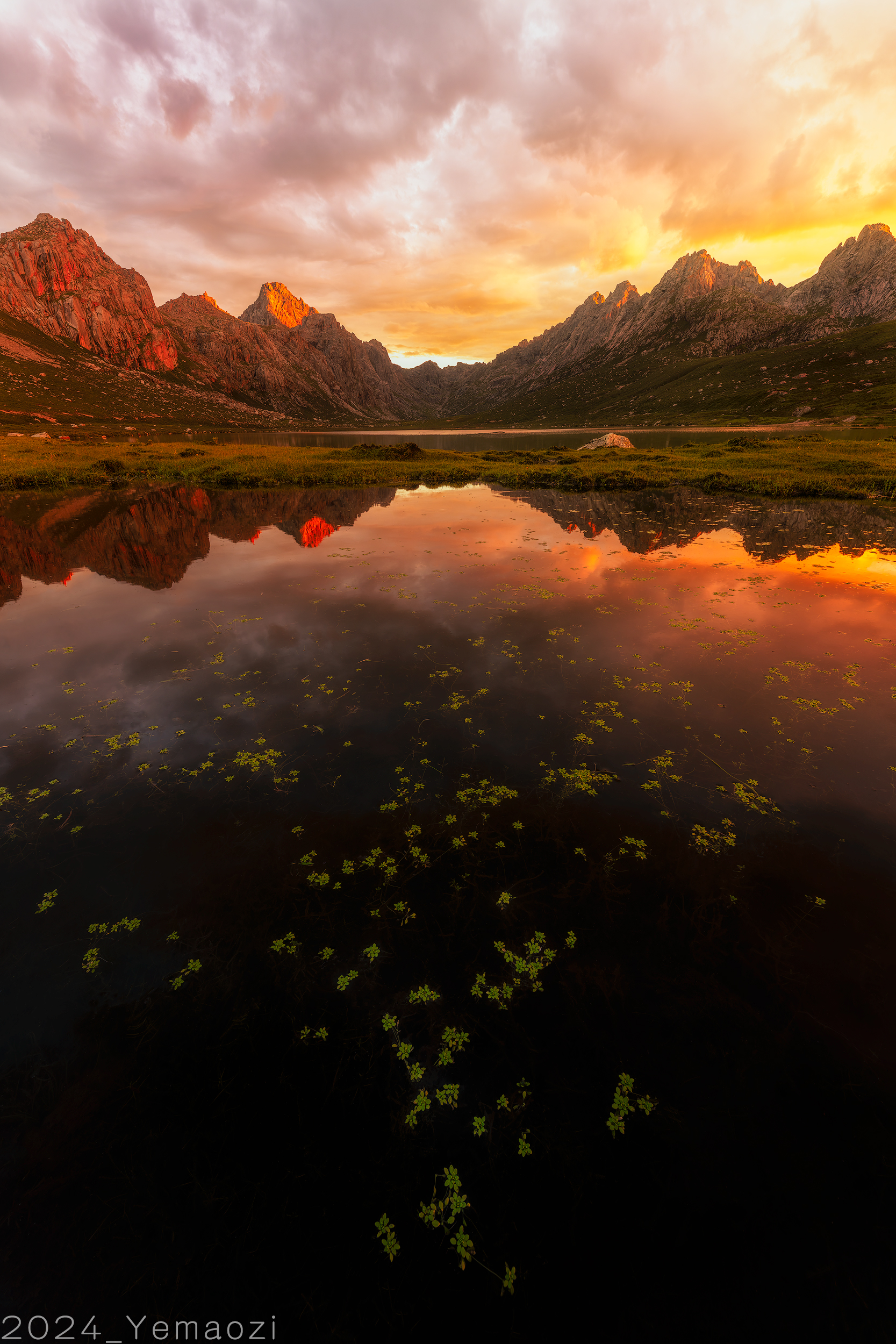 没有高山野花，那水中浮萍也是有趣，已更新网盘4K版本，需要自取。 NGA玩家社区