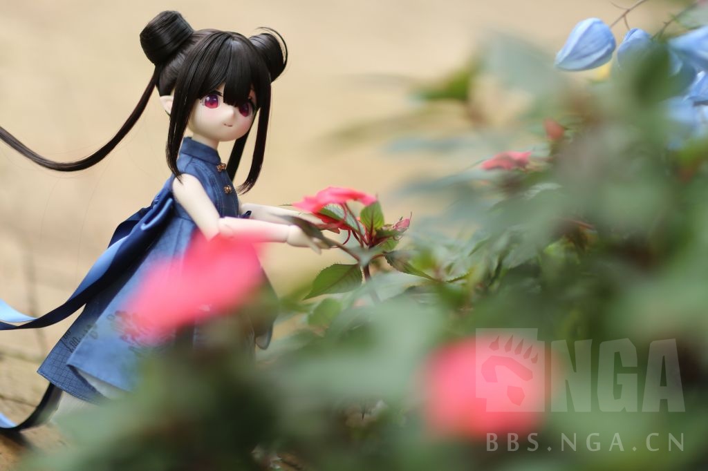 [团员招募] (26/30)5500 二档团，仅需本战合计2e贡献！保2争3，前一场可能拉闸，限定狗叫时间 178