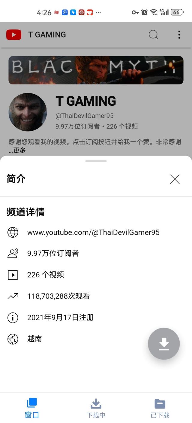 10w订阅的越南油管博主靠发黑猴短视频突破1亿点击量 NGA玩家社区