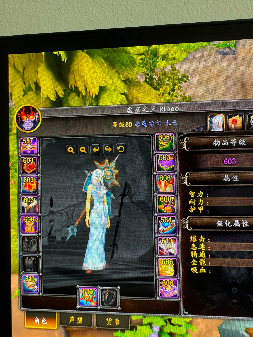 大佬们 619的美化我这个装备做哪个部位比较好 NGA玩家社区