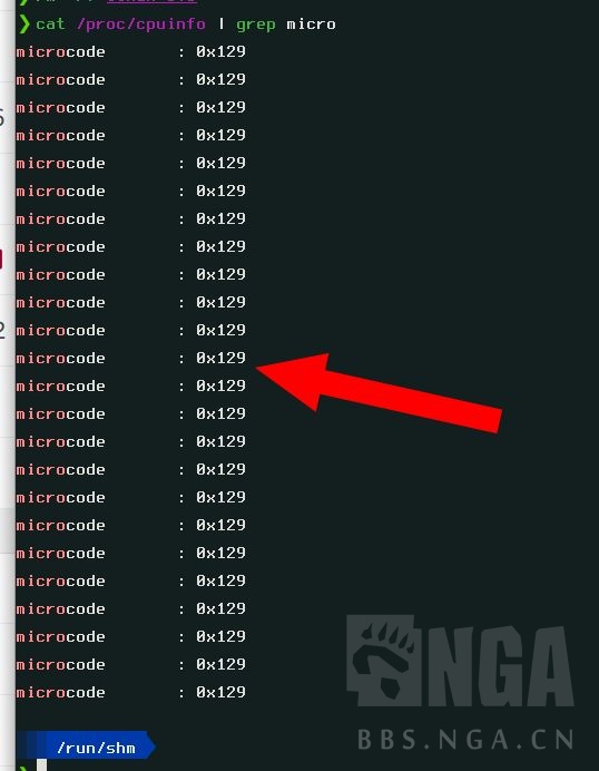 猝不及防，intel-microcode自动更新， 微码变为0x129 [更新：更新无效] 178