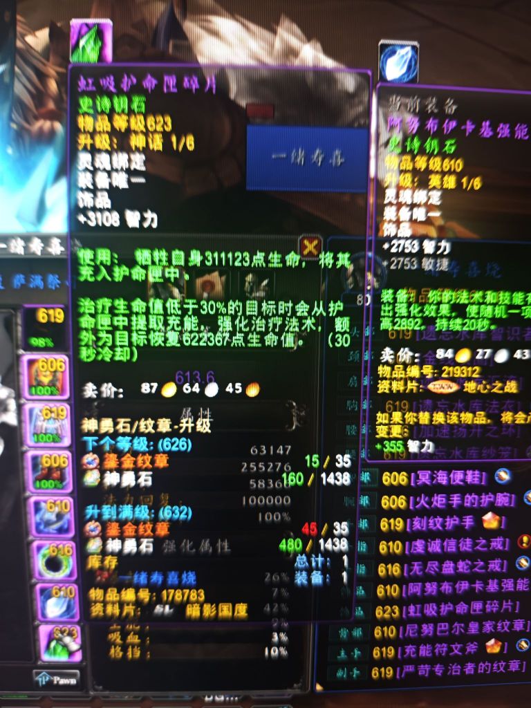 奶萨低保开出这个有用吗，替换身上606无羁拟态合适吗？ NGA玩家社区