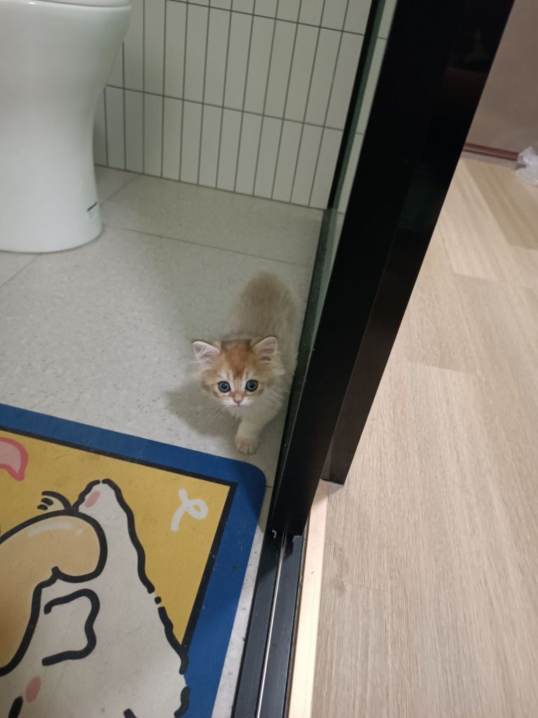 xdm到我了 NGA玩家社区