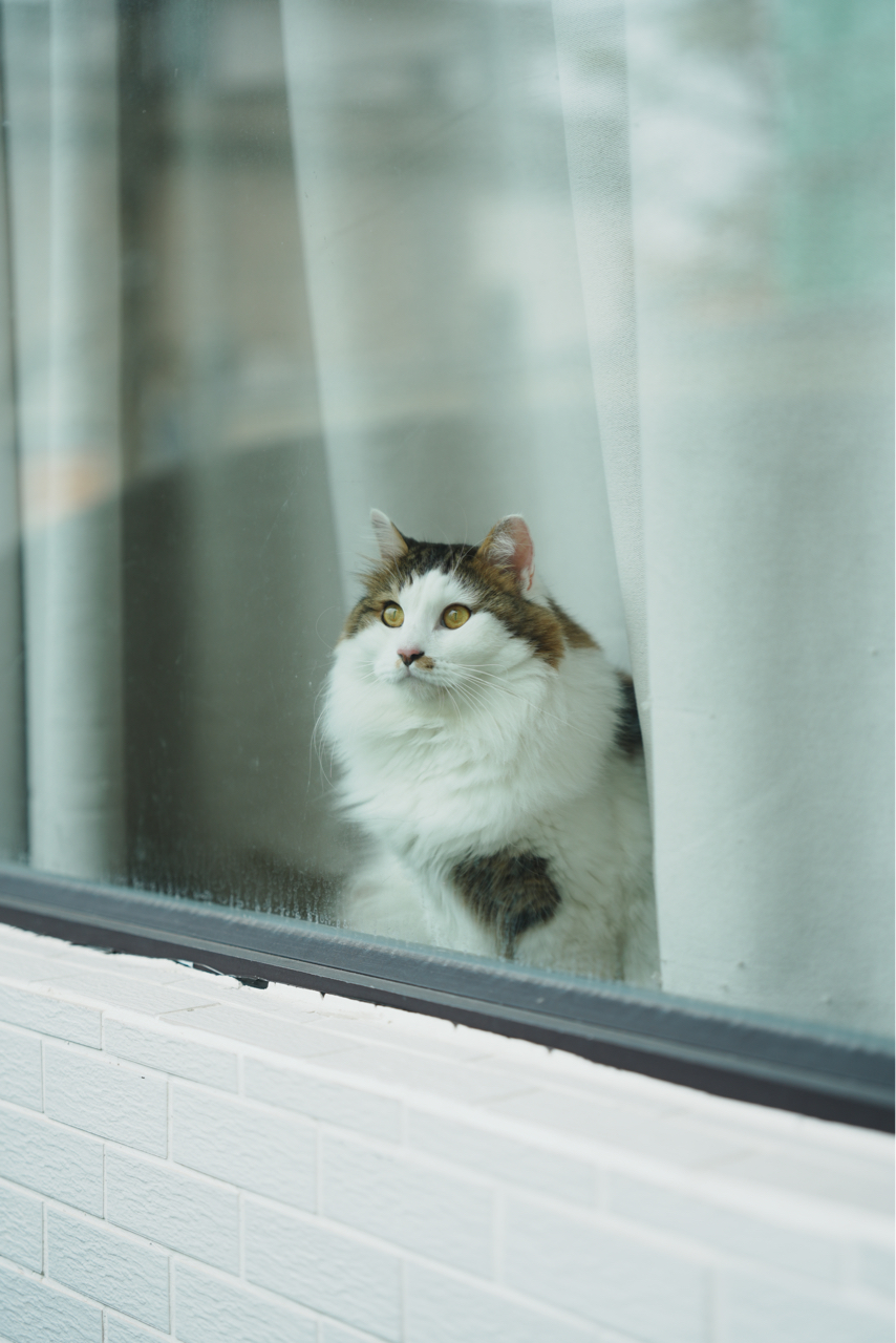 新人想入2070G，求分析或打醒 NGA玩家社区