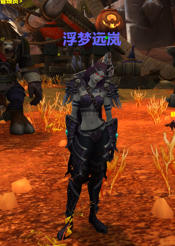 [幻化]发一下全套t2的上身图买家秀 NGA玩家社区