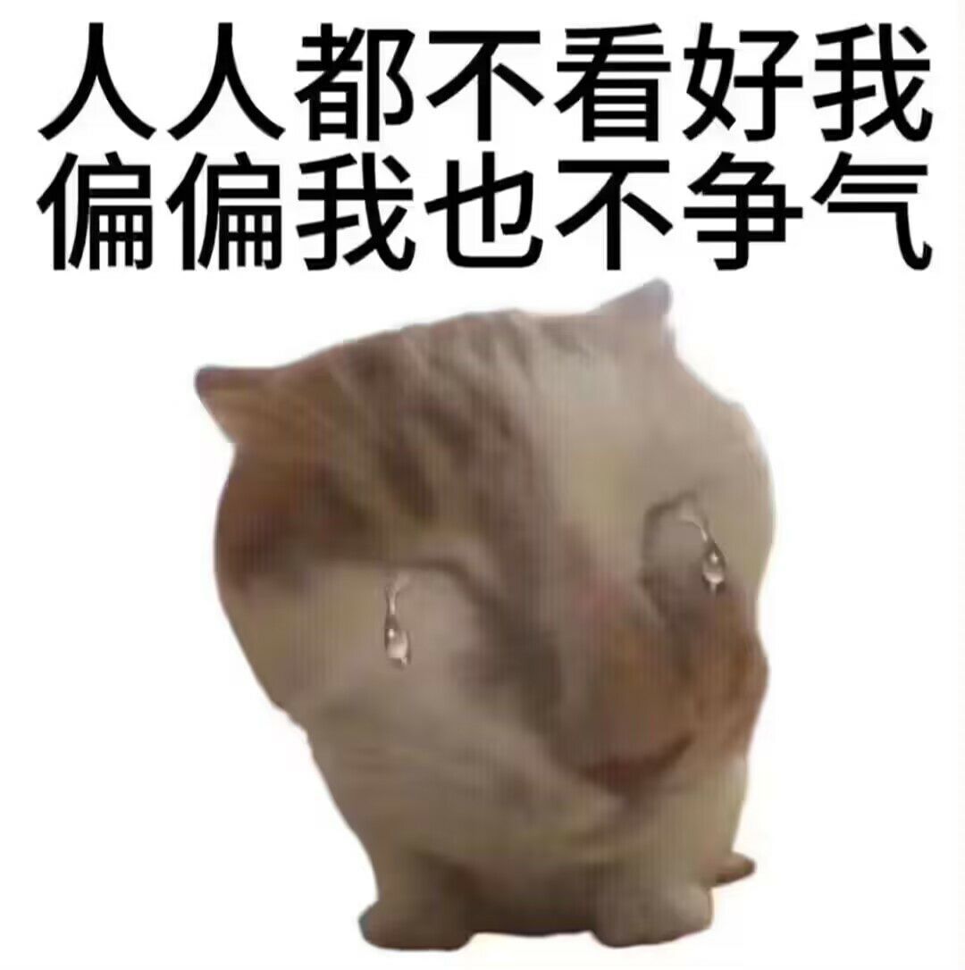 早上以为自己悟道了，泪水打湿猪脚饭 178