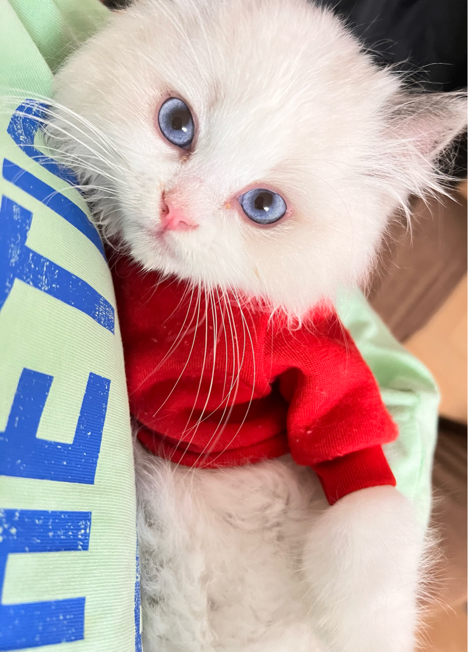 [国服]大米冲层找稳定dps~ 178