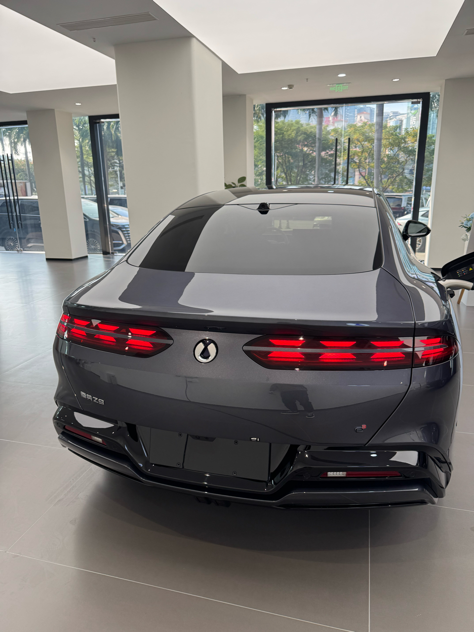 腾势Z9 MAX 三厢版繁星灰提车作业 NGA玩家社区