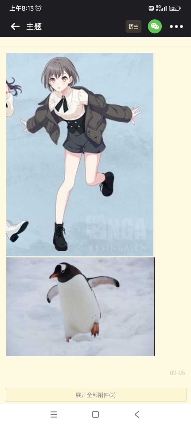 台湾Xpark水族馆的企鹅宝宝，通过投票最终定名为'Tomorin' NGA玩家社区