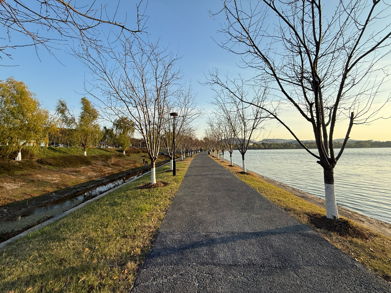 苹果16pm，对阳光直接拍摄，照片出现绿点，怎么回事 NGA玩家社区