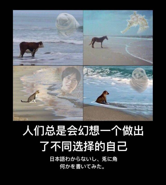 神tm海喵 178