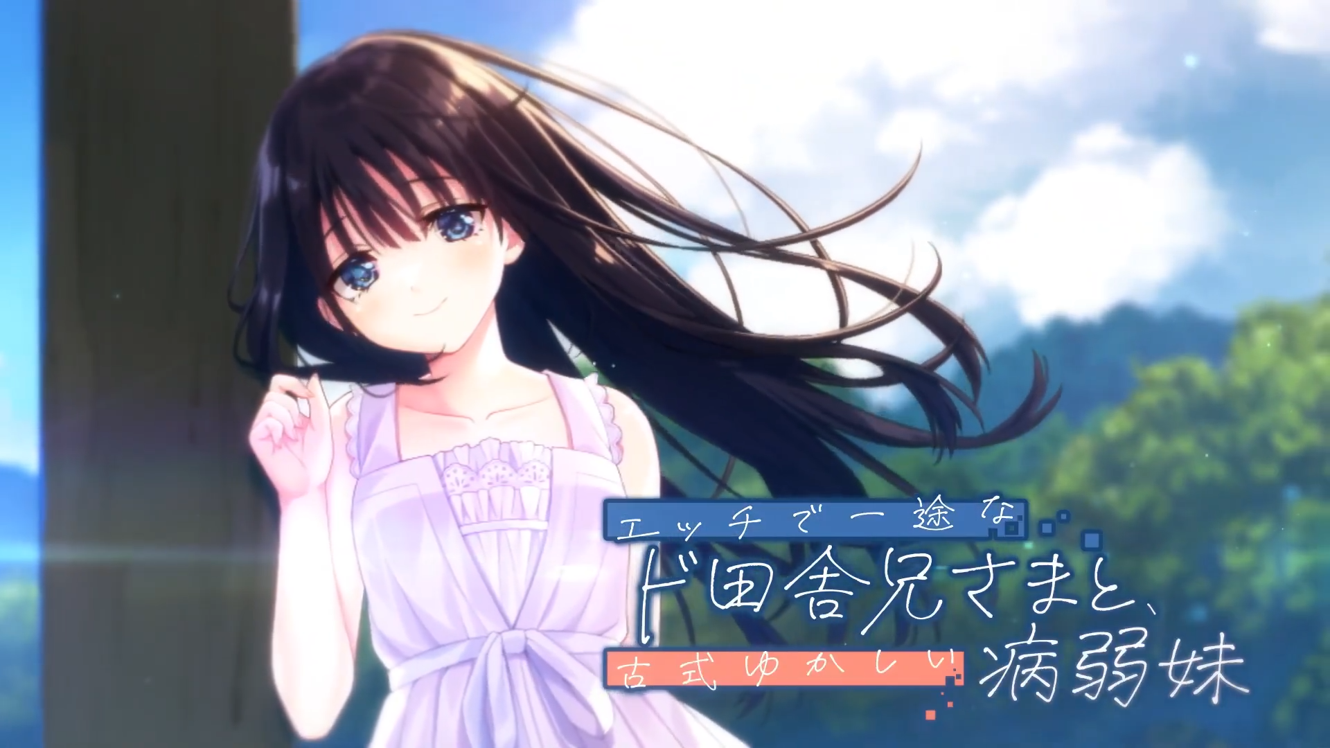 Sister Position 《总是想色色的乡下哥哥与，温文尔雅的病弱妹妹》OP&MV NGA玩家社区