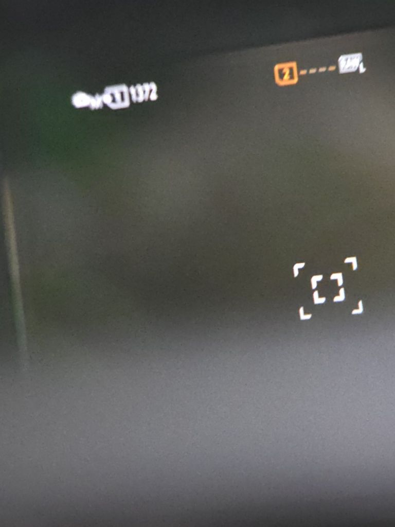 [二手相机]出个自用成色好的A7M4，坛友-500 NGA玩家社区