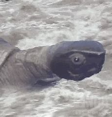 601919现在买入合适吗？ NGA玩家社区