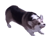 1荣誉挑战目标达成x2 NGA玩家社区