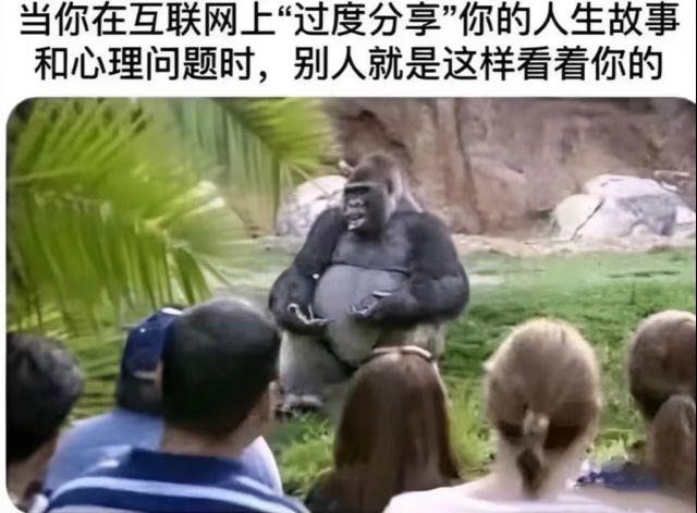 老哥们，怎样才能让42接受自己的奇怪xp？ NGA玩家社区