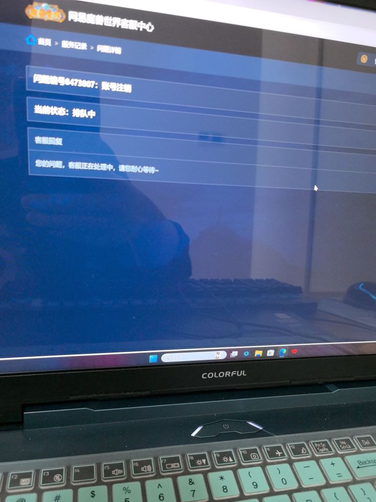 永久afk了 NGA玩家社区