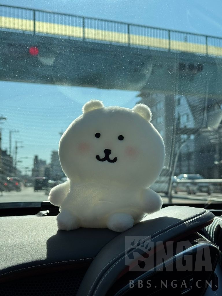 [车版专栏-提车作业] 大米YU7提车 178