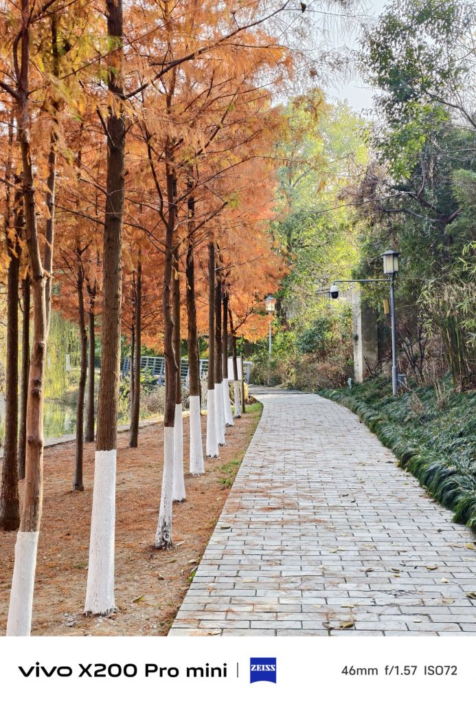 vivo x200 pro mini拍照是个什么水平 NGA玩家社区