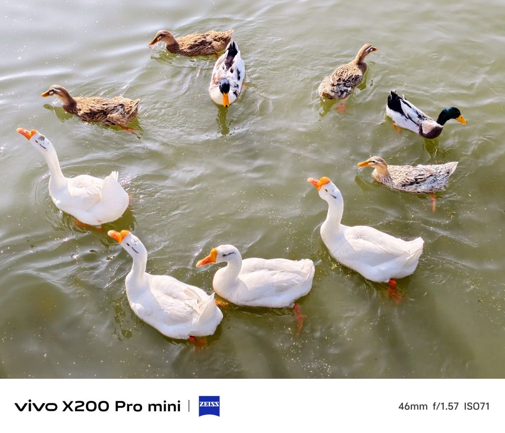 vivo x200 pro mini拍照是个什么水平 NGA玩家社区