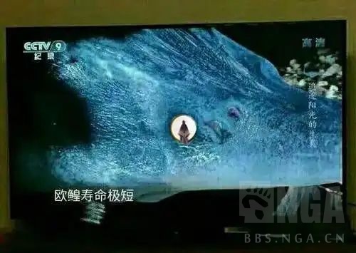 4T9达成！ NGA玩家社区