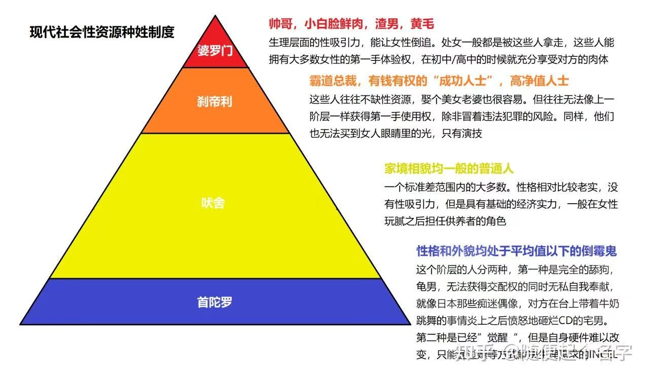 作为一个有雏情结的雏，看到这张图真有点破防了QAQ NGA玩家社区