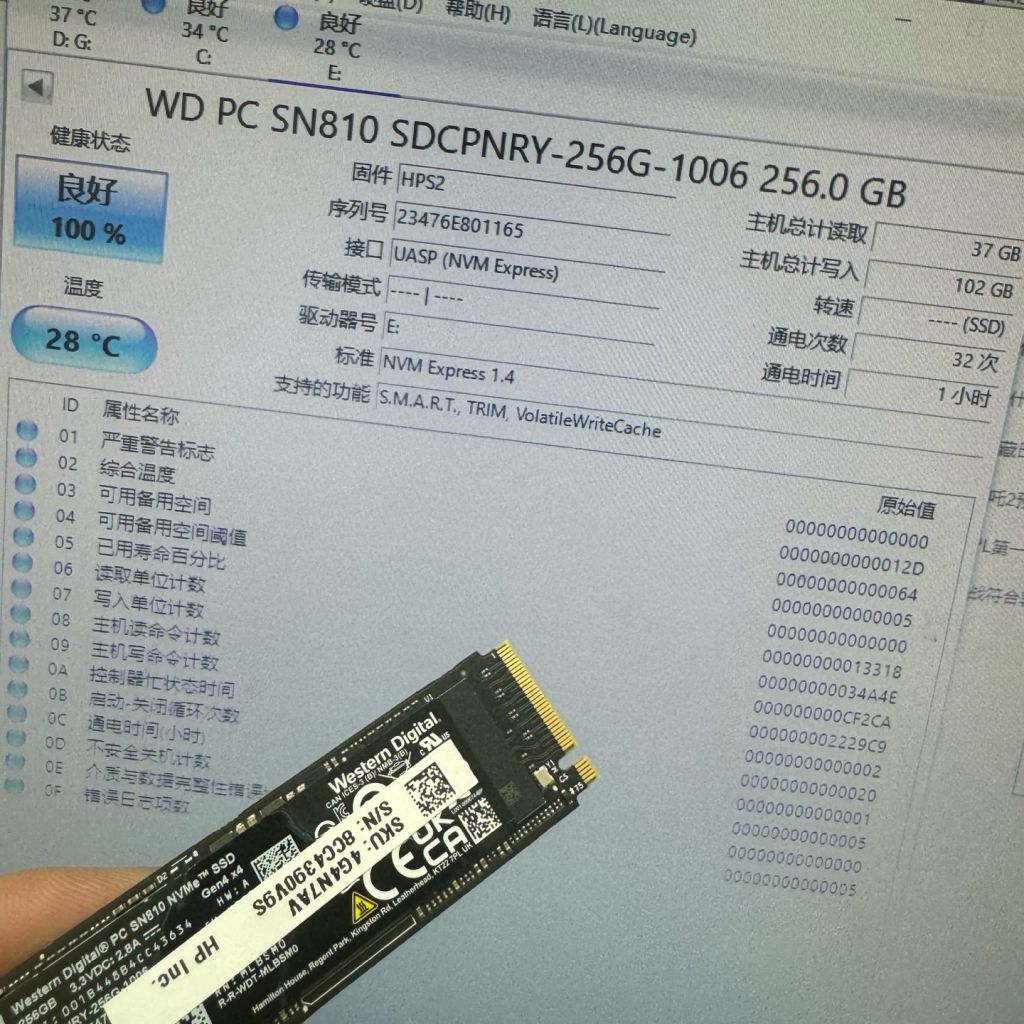 全新西数sn810 256g固态 2280规格 价格110元 NGA玩家社区