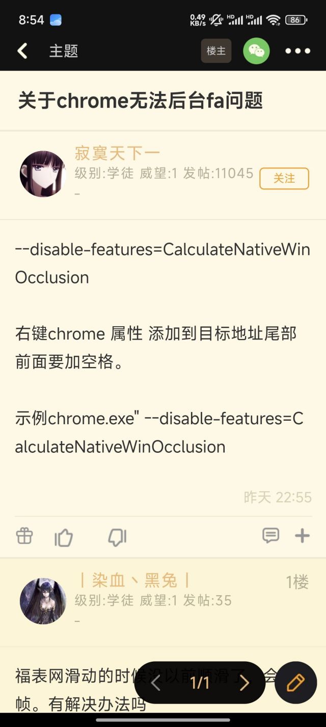 [2025年2月]谷歌浏览器又没法后台挂gbf了 NGA玩家社区