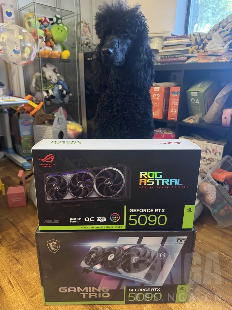 (2月9日重新测试更新)个人对5090魔龙和5090夜神的简单测试(内有骂街慎入) NGA玩家社区