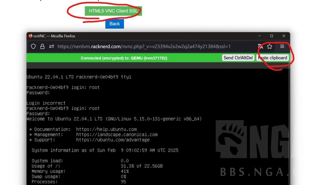 [DeepSeek-R1/Gemini已完成][教程向]VPS从零开始部署云酒馆入门：随时随地进行AI角色扮演 NGA玩家社区