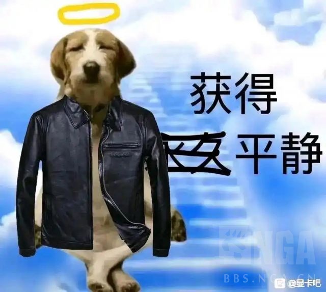 [硬件产品讨论] RTX 5070 Ti 价格出来了，狗老黄彻底疯狂！ NGA玩家社区