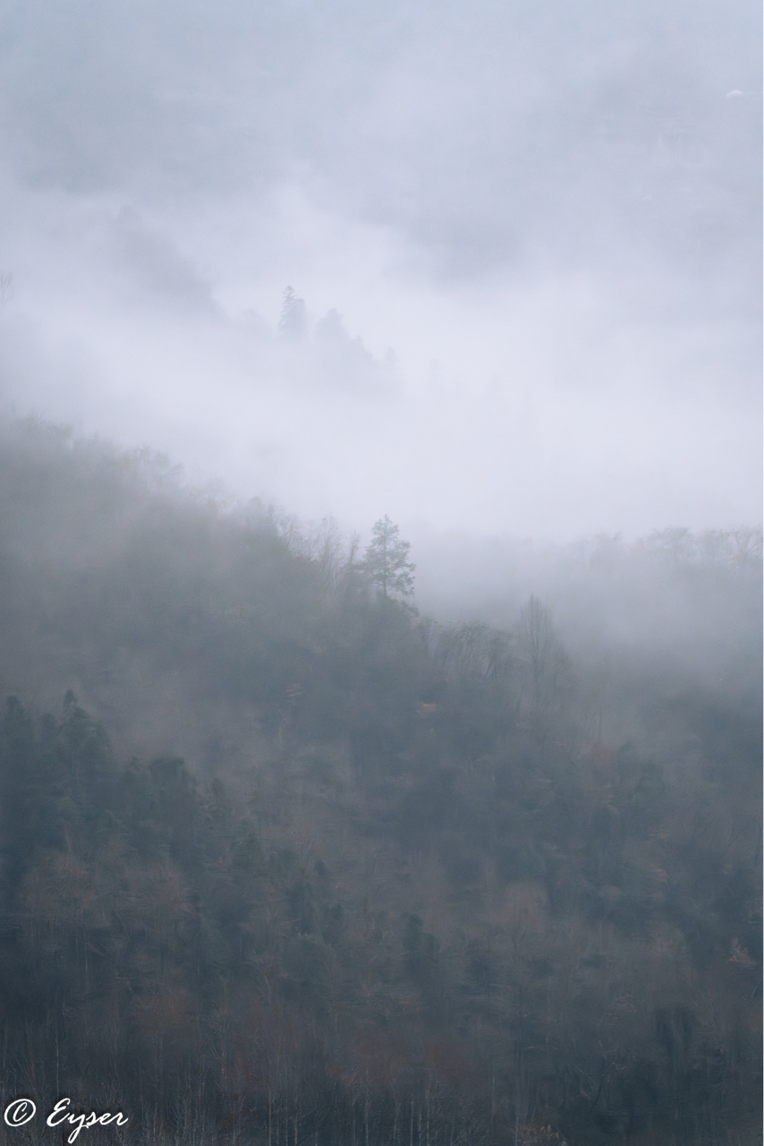 25年了，A7R5还值得买吗？ NGA玩家社区