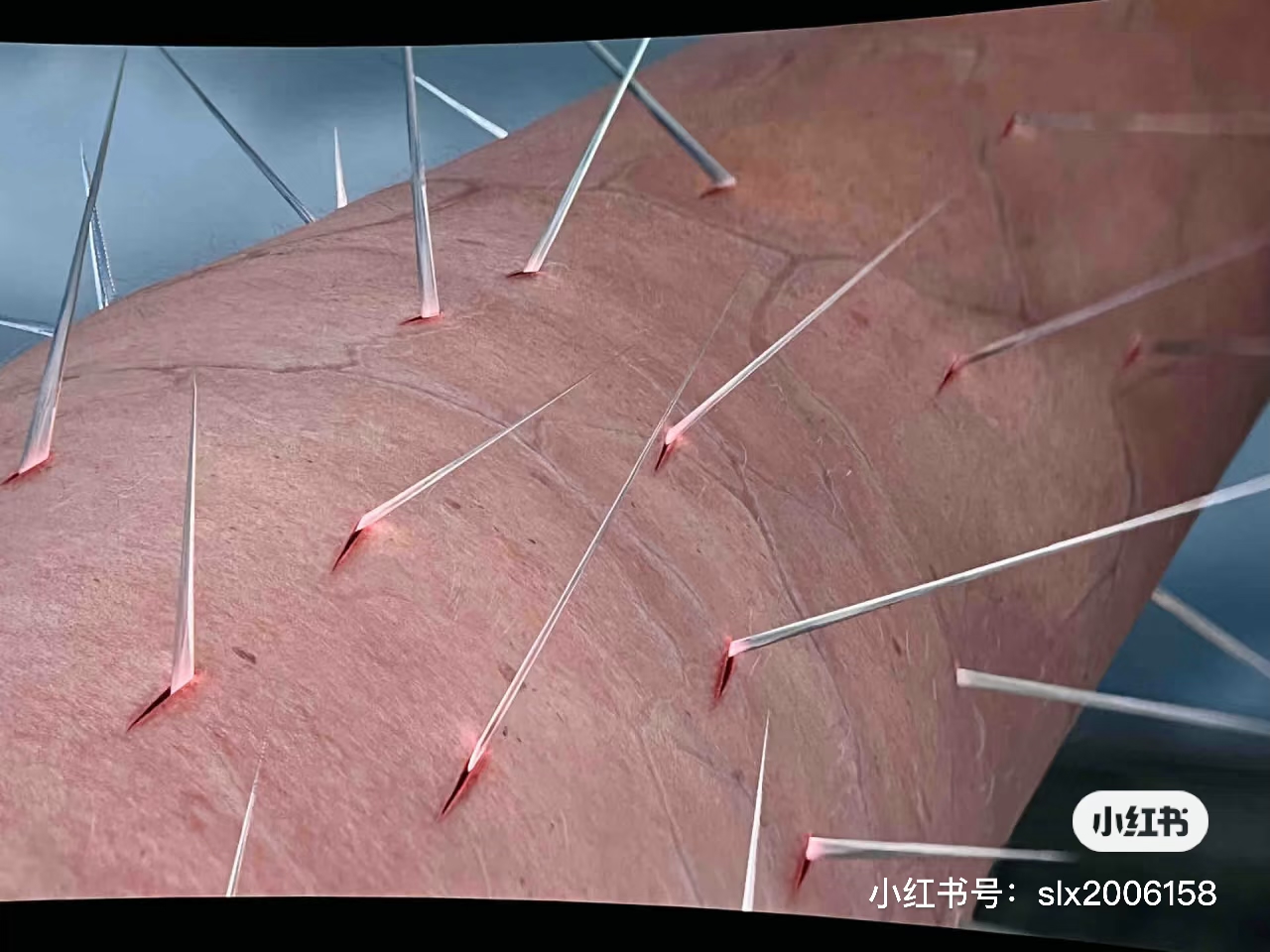 大家在哪几种厅看了哪吒啊，CINITY LED就画面讲真的很nb吧 NGA玩家社区