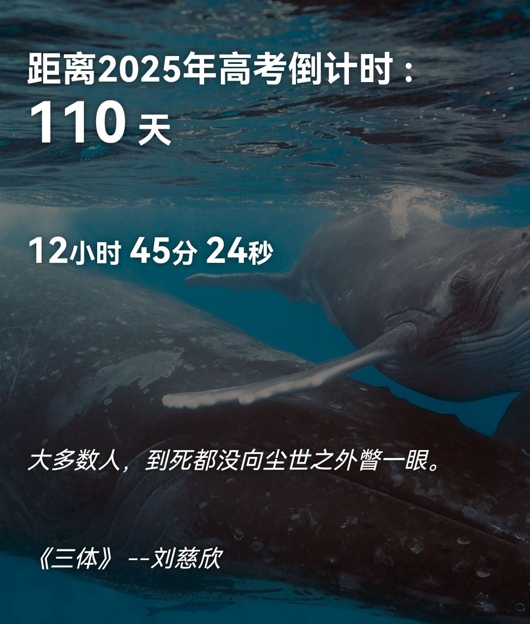 [专楼] [花瓶HB]十八号专楼 NGA玩家社区