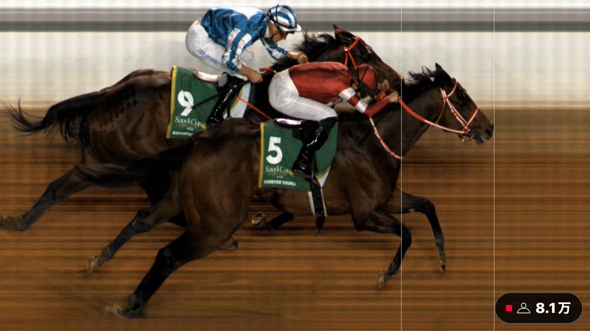 CY马娘太子爷'青春永驻'击败香港马王'浪漫勇士'，破纪录赢下全球最高奖金赛事 NGA玩家社区