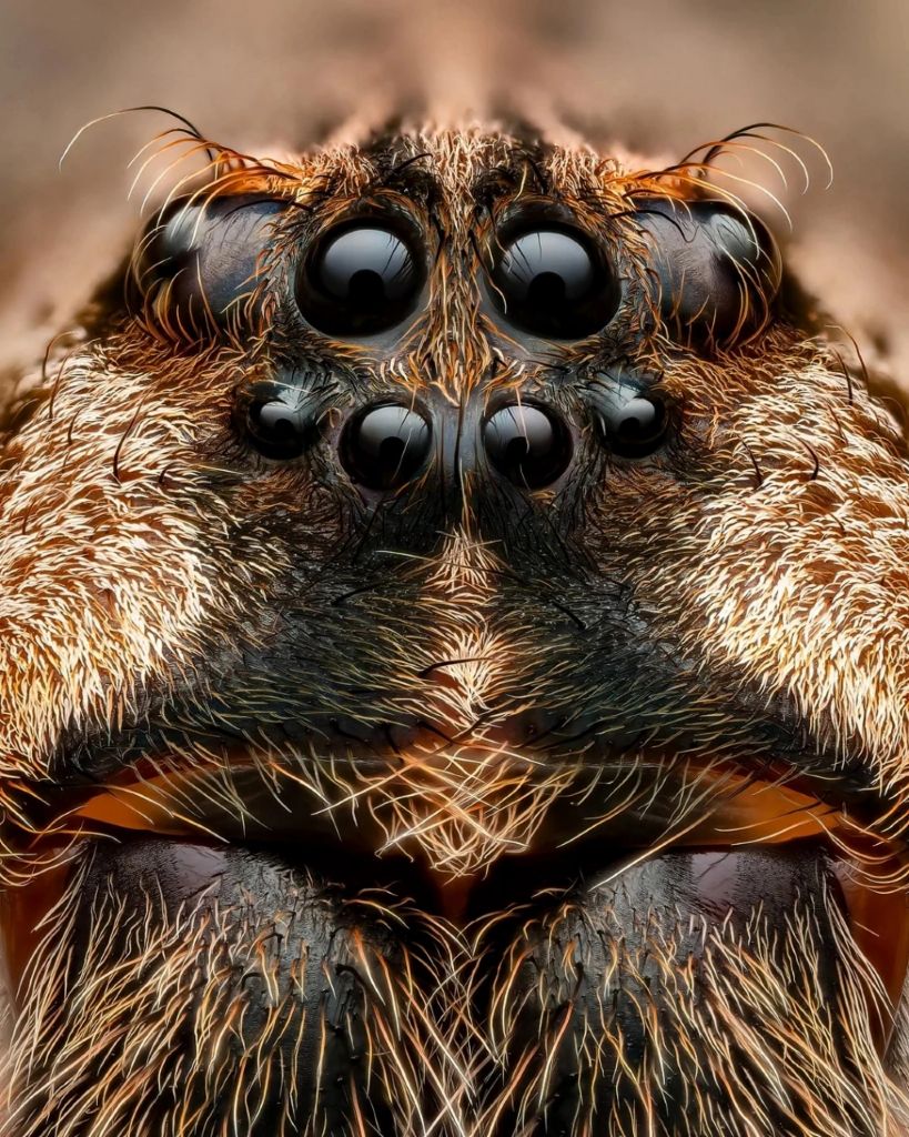 15U镜头组真机图 NGA玩家社区