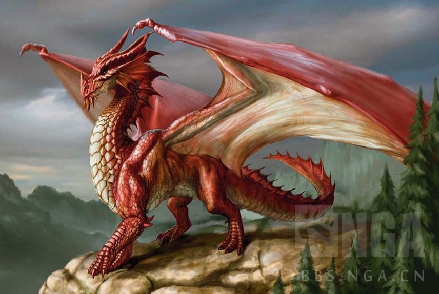 [安科/安价] [明日方舟][dnd]与龙同行的泰拉 NGA玩家社区