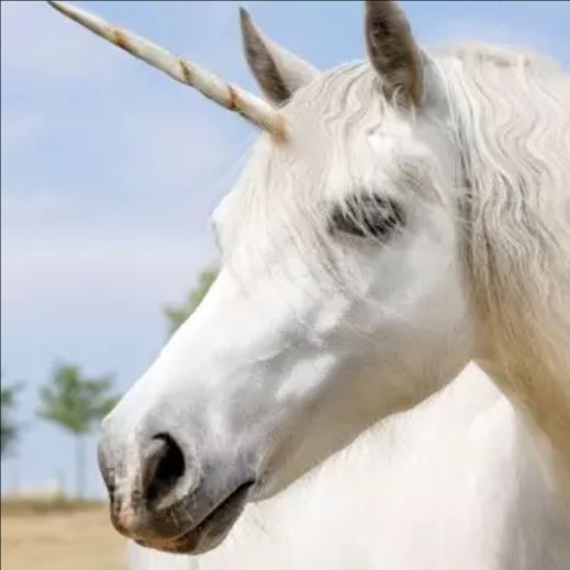 [安科][同人][类HP][mygo]迷子和人偶们在破坏霍格沃茨的世界观。 NGA玩家社区