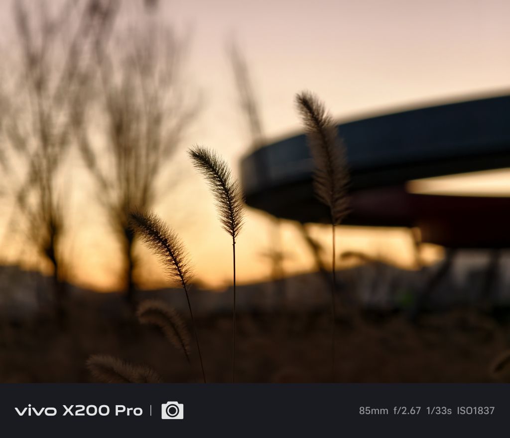 x200的滤镜跟X100一样吗？还是vivo的糖水风格吗？ NGA玩家社区