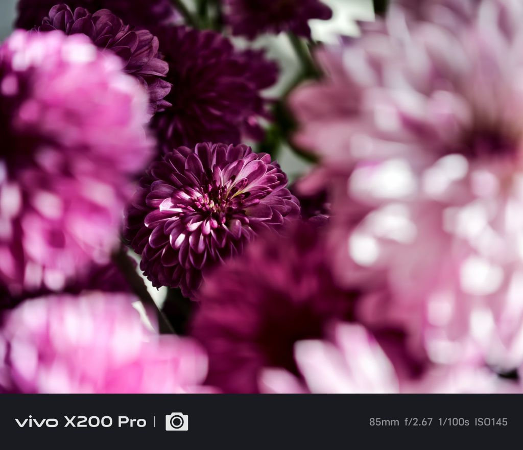 x200的滤镜跟X100一样吗？还是vivo的糖水风格吗？ NGA玩家社区