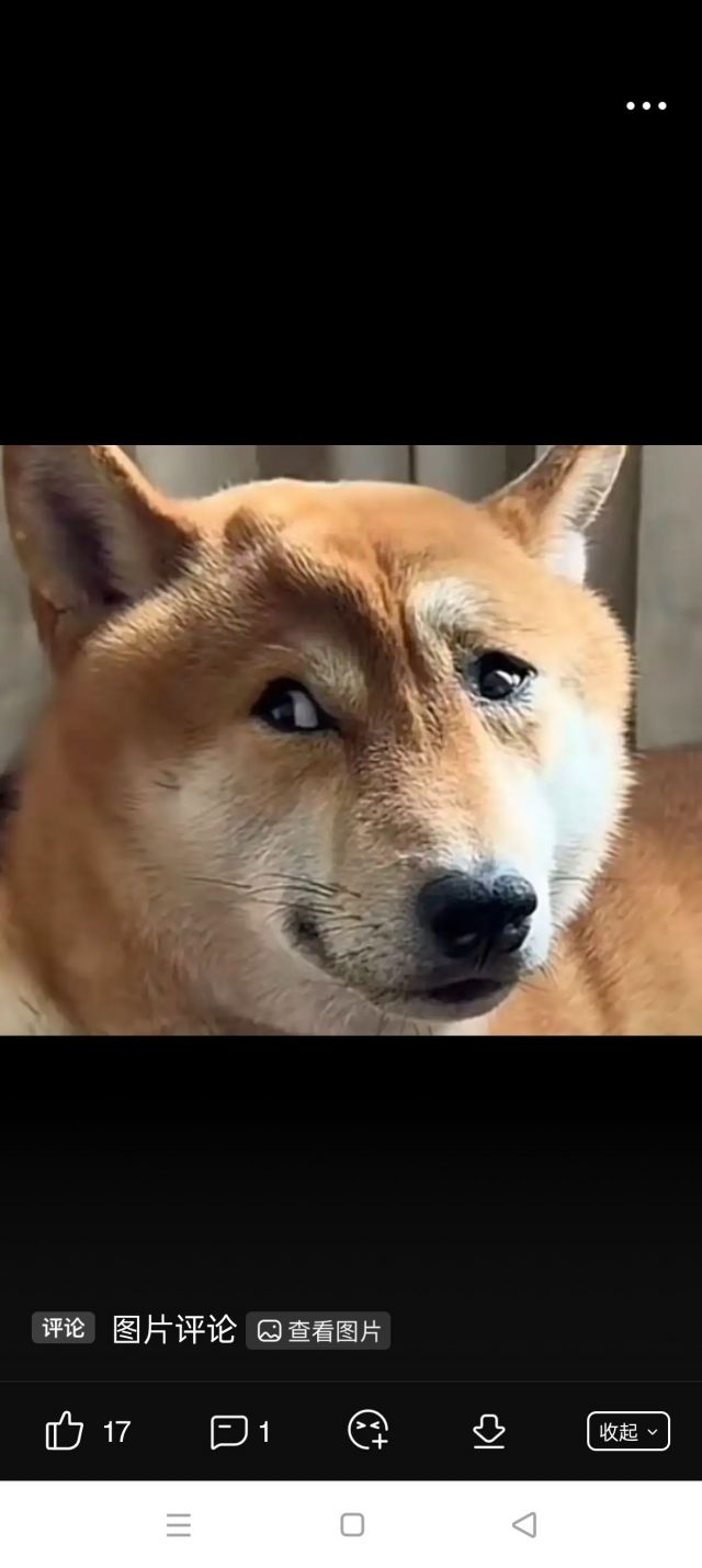 老是得个沟吧红眼病几十岁的人了 NGA玩家社区